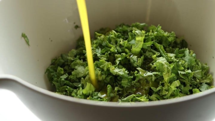 Persimmon Kale Salad - Blend with Spices